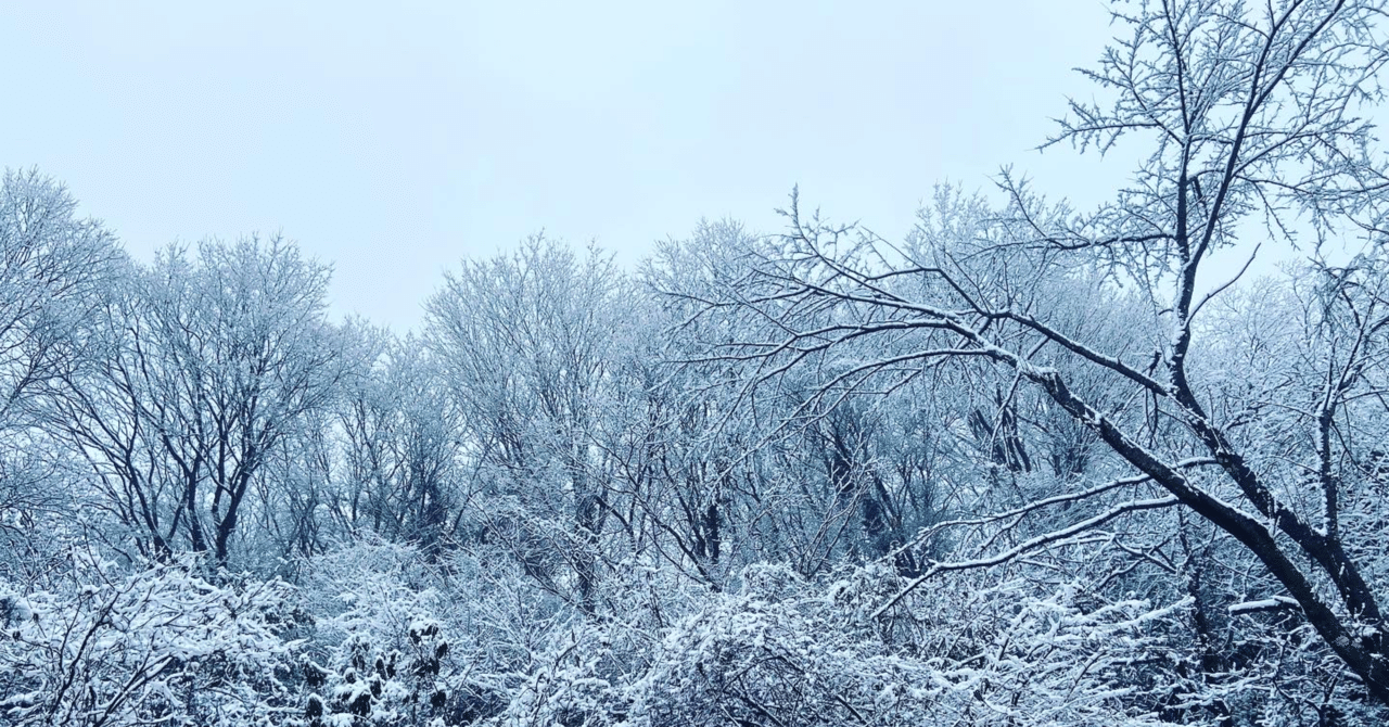 日記 2022/02/14｜Rikuto｜note