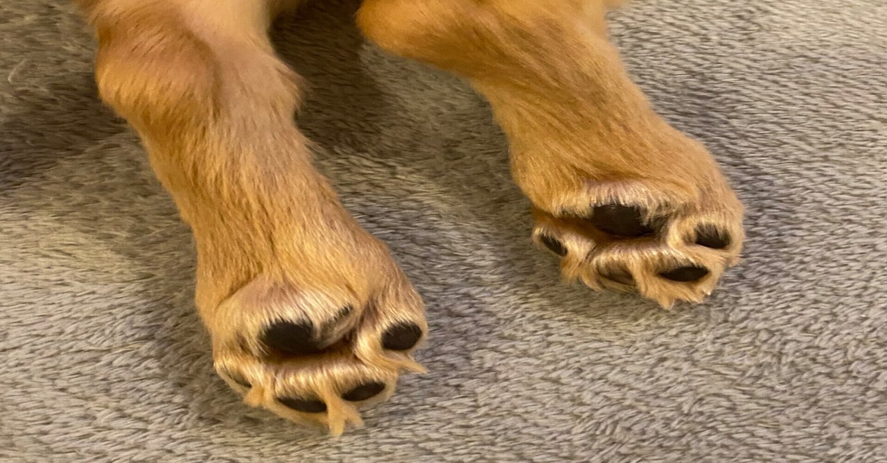 2.14 大垣6.9R、松戸5.7.9R予想🌪｜🚴‍♀️まるちゃんせいめん一撃必殺🚴‍♀️｜note