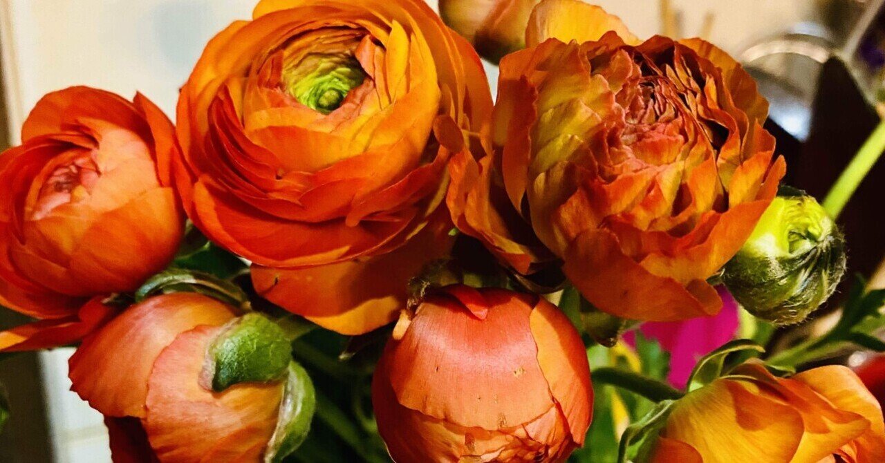 翻訳ソフトから学ぶ、自分ならではの価値｜Mrs Charming