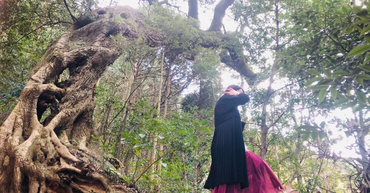 わたしはこうして自分を取り戻す旅をする｜Stella garden‐ステラガーデン‐｜井藤雅子｜note