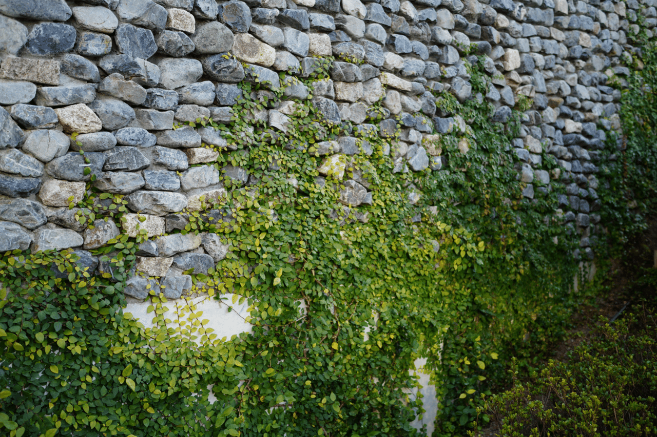 コンクリートキャンバス｜Katsuya ONI