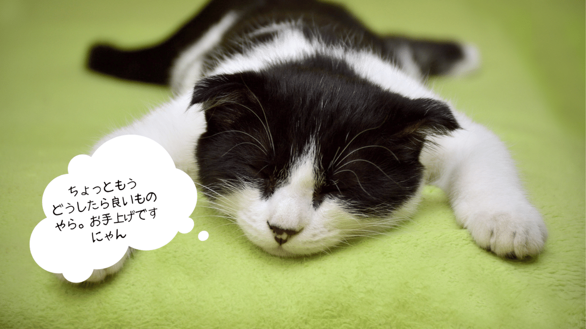 米粉パンは「かたい」「まずい」？VOl.1｜aurinko.m