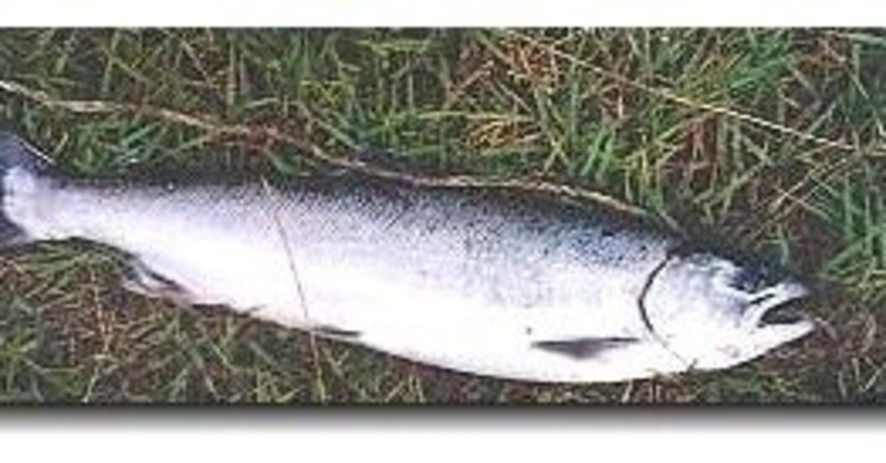 藻琴原野 第二話 往年｜Hideki_Matsuo