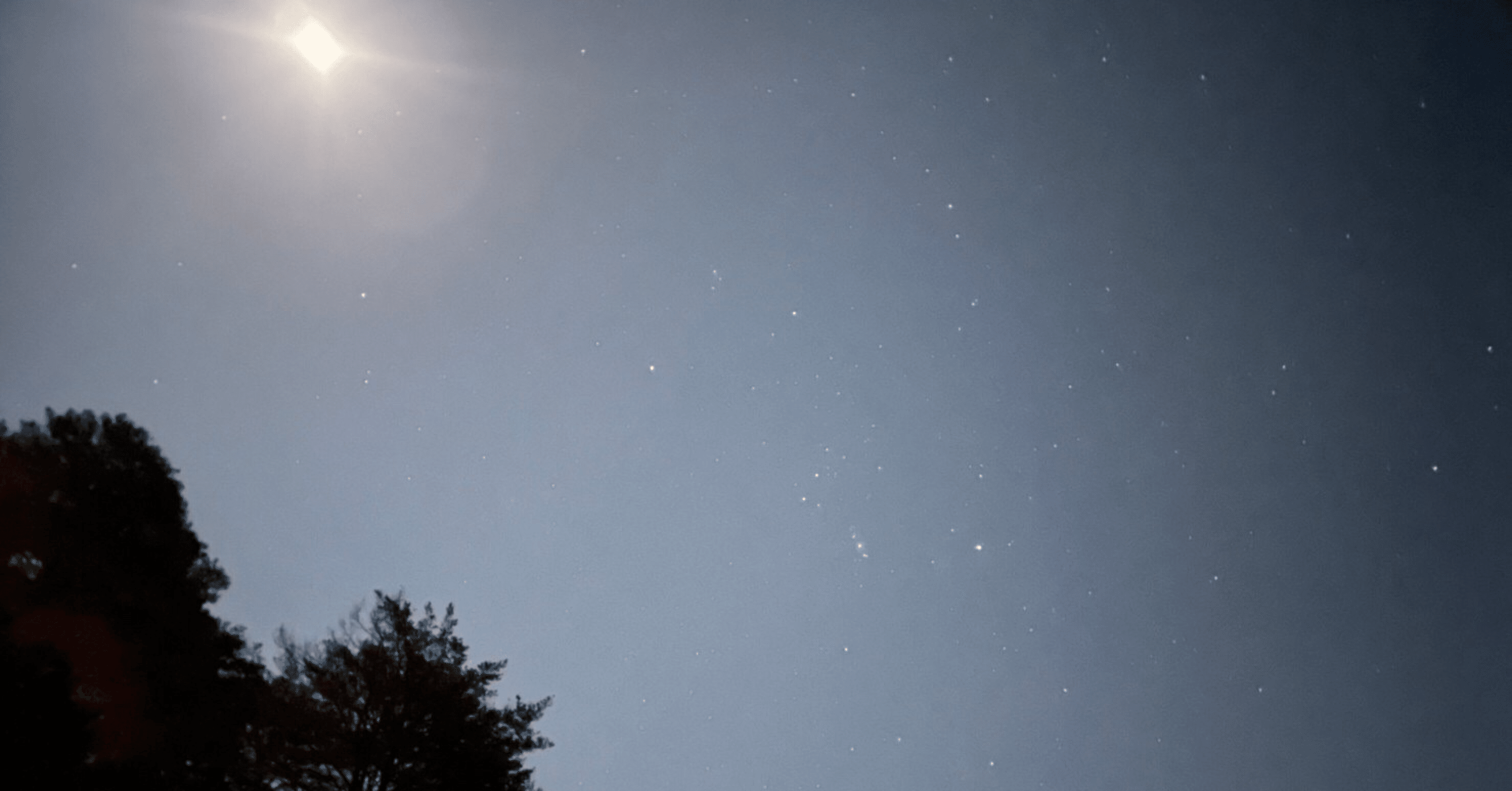 RIKA．．．117｜note