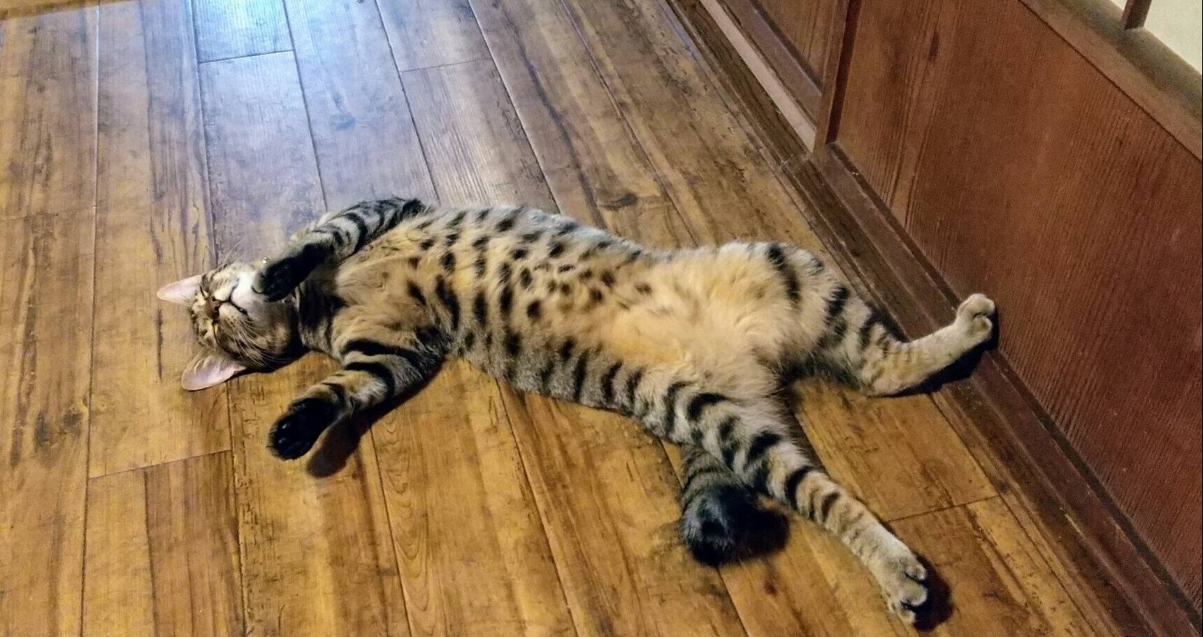 Fukuta Takuma｜note