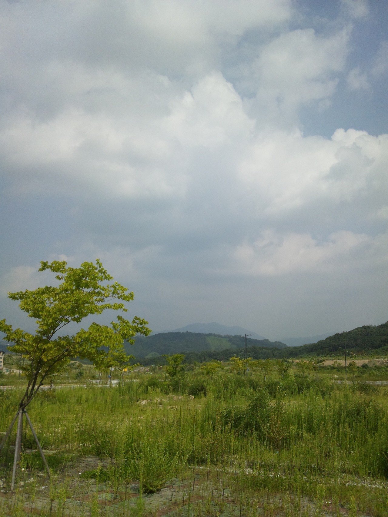 『自然は神様の啓示‐011』｜Atsushi Kanda