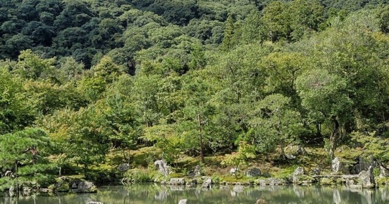 SCPシリーズ11｜一般情報学生