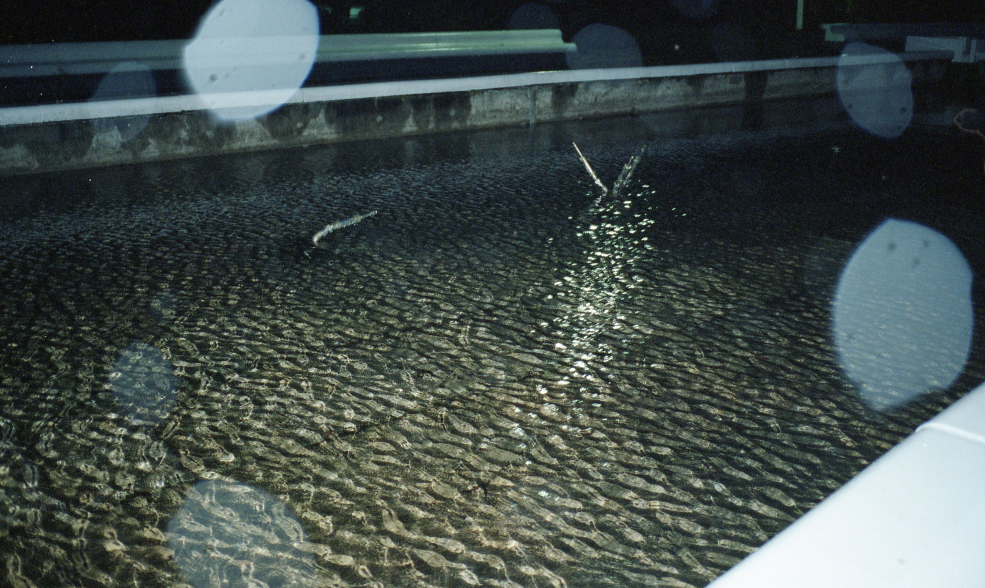 Ryuichiro Suzuki｜note