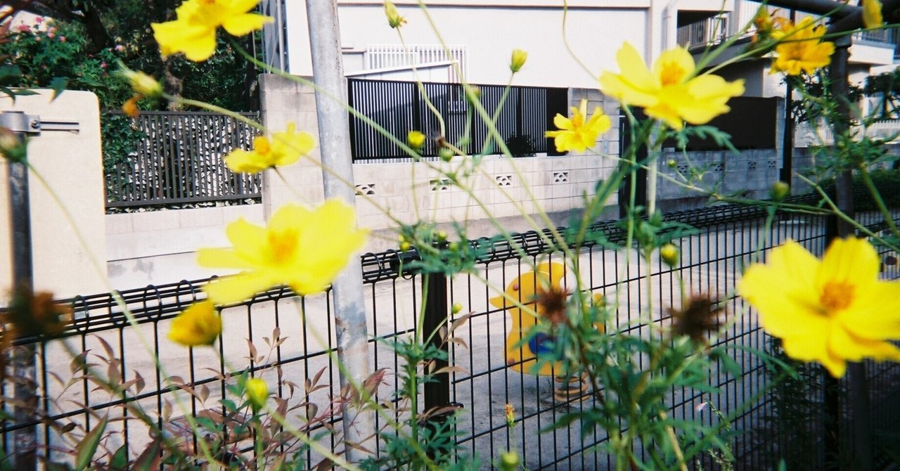 最近頑張っていること。｜takei miki