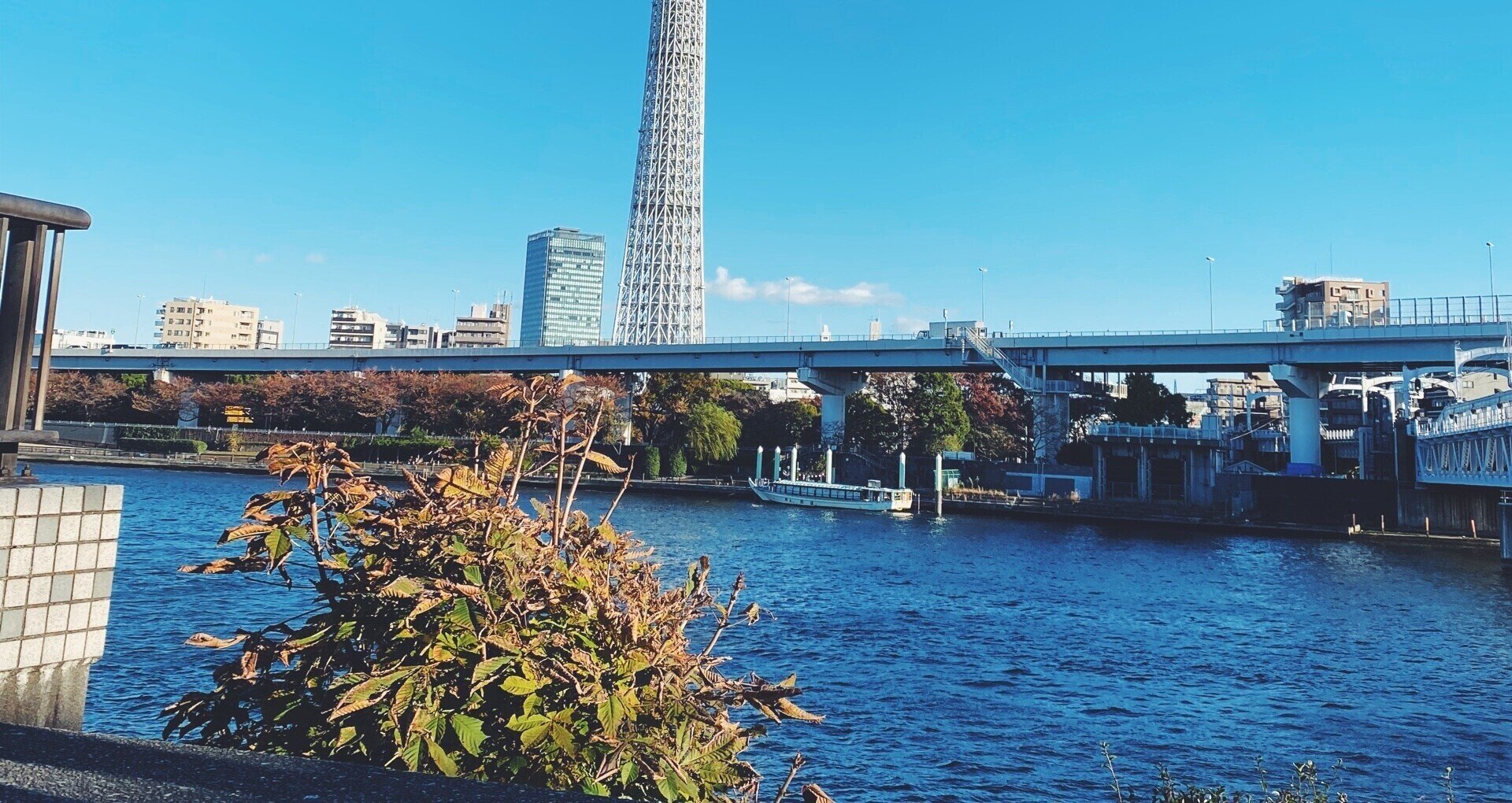 buklog（ブクログ）｜note