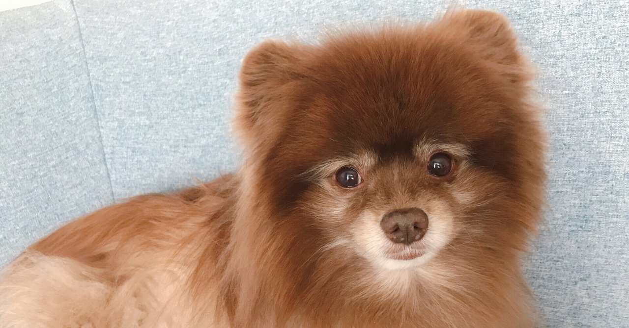 この世で一番大切なもの｜ KAZUKO ｜note