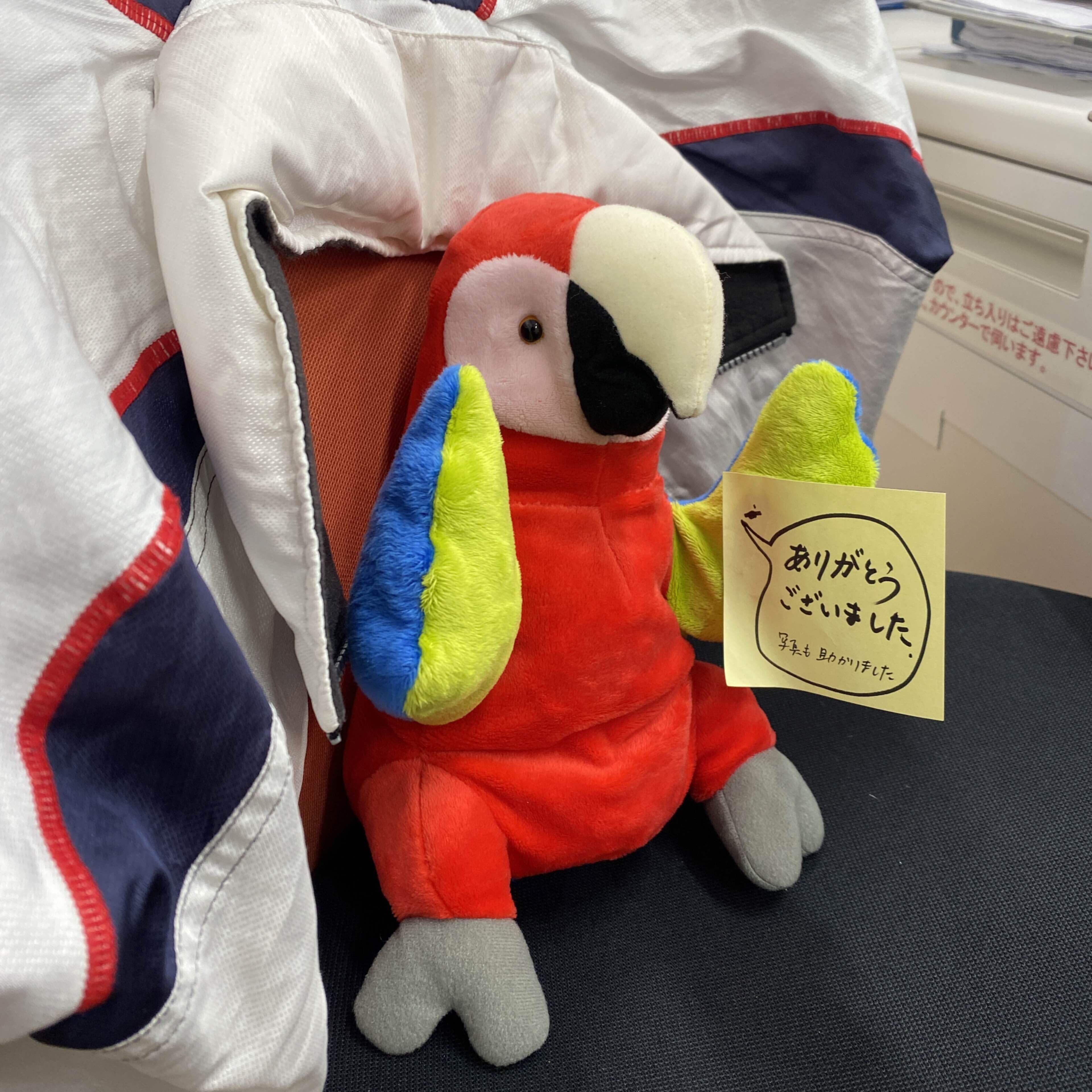 感じて動くおーむちゃん！vol.272｜おーむちゃん｜note