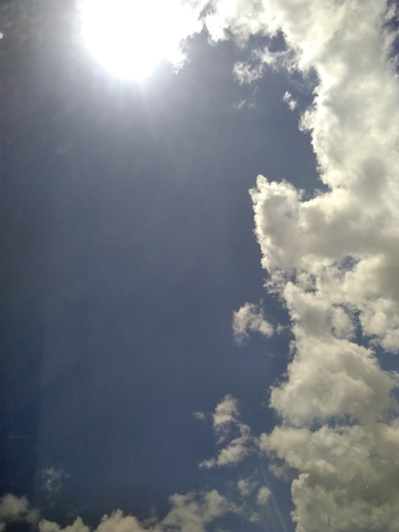 the clear sky after the storm｜モモンガ