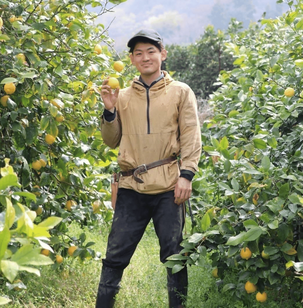 柑橘】品種と農家さんの紹介🍊|hachi 柑橘】品種と農家さんの紹介🍊|hachi
