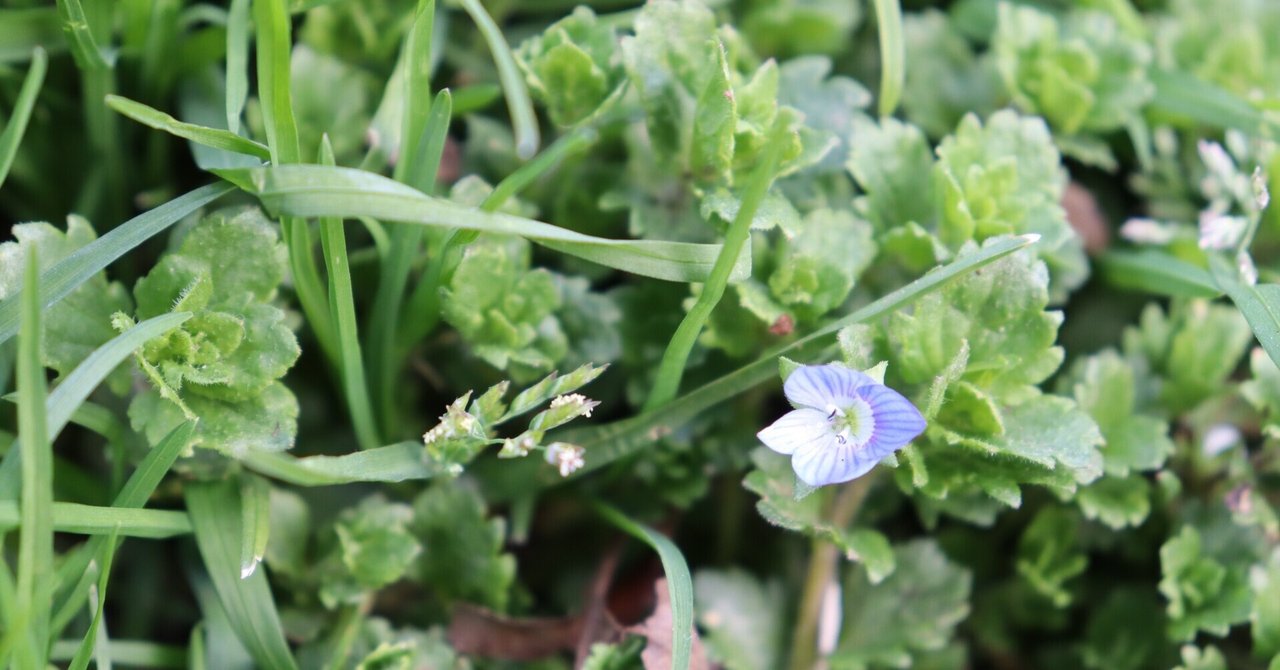 2月もありがとうございました。｜Kyoko Hashimoto