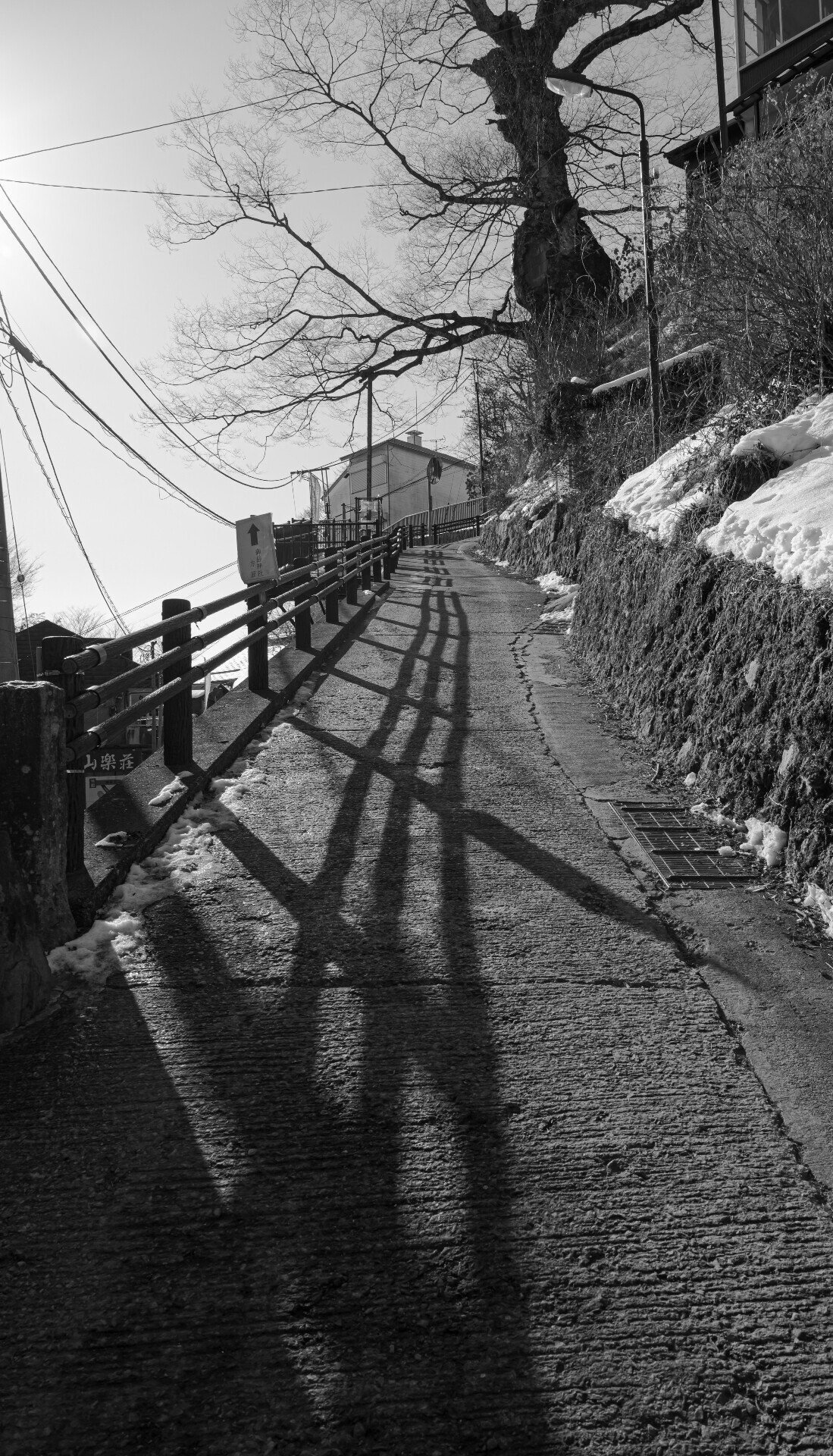 御岳山｜vlog_tottiy