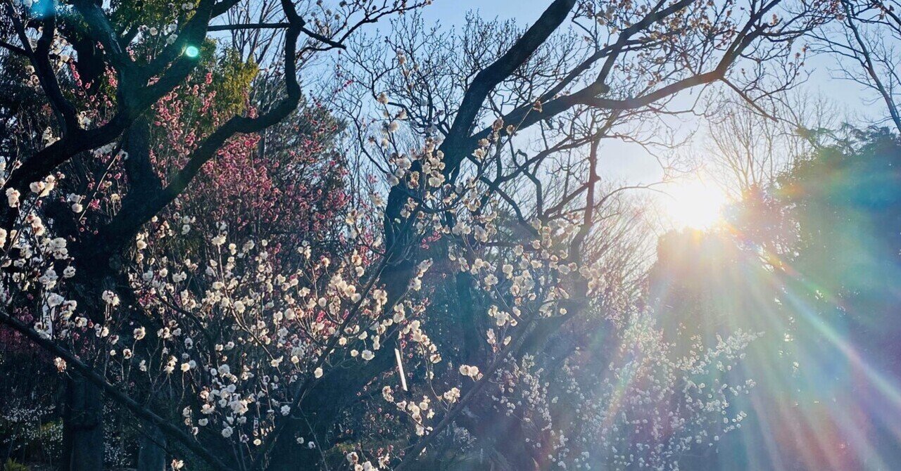 遺伝子か、環境か。｜Mrs Charming