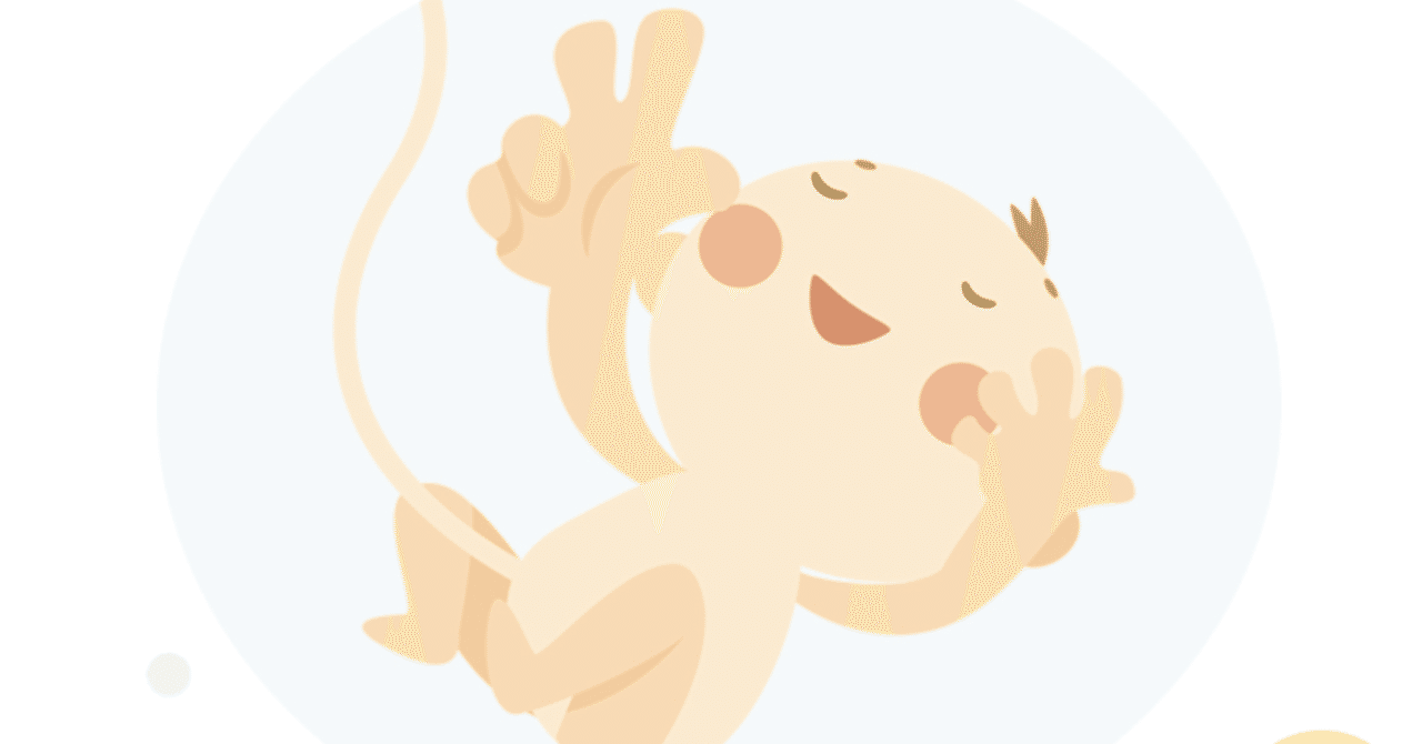 29w3d 4Dエコー｜ゆい