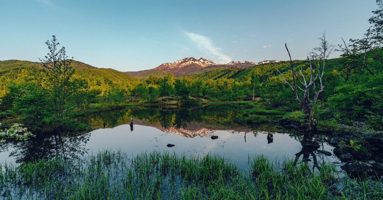 GI WANSUKE 登場｜wansuke