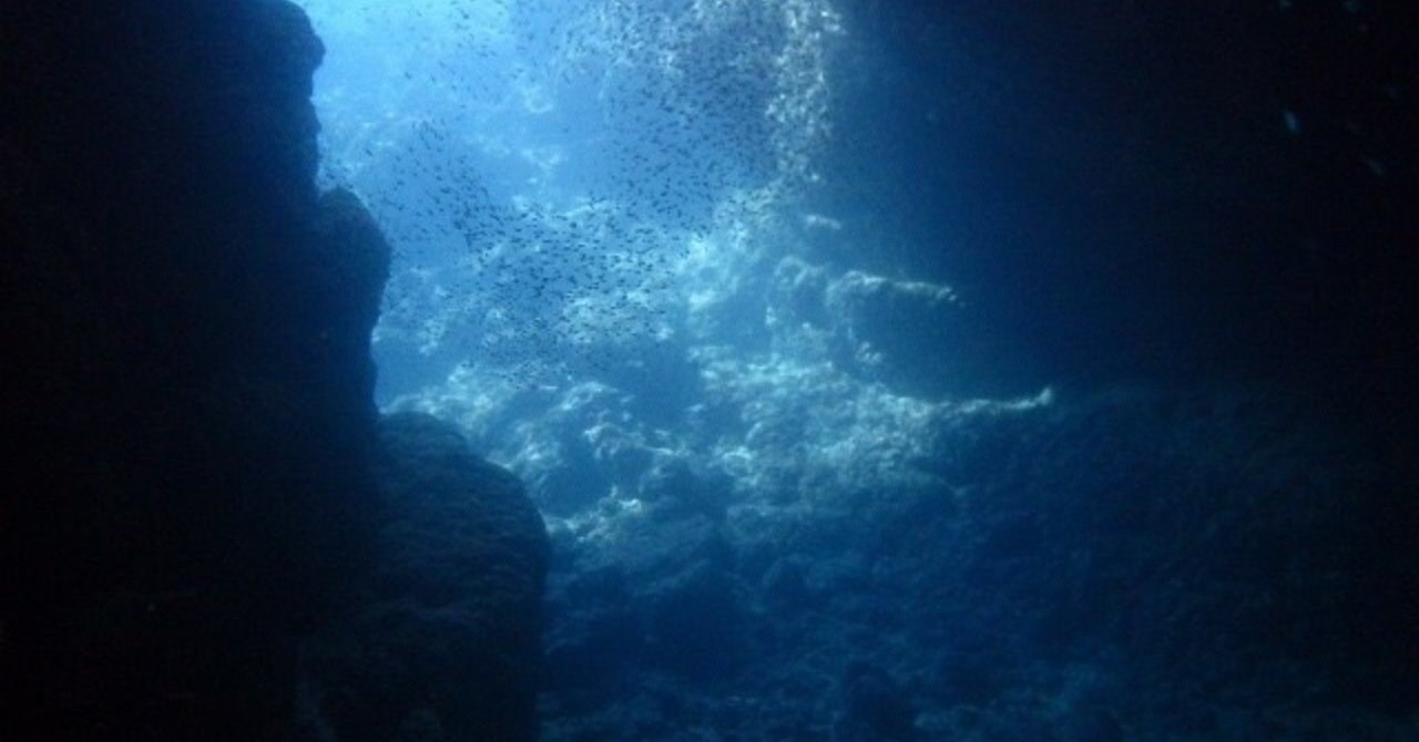 頑張らなくても自然と大切にしているもの｜Sosyu Kikuchi｜note