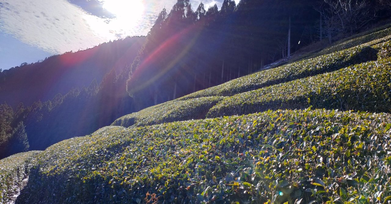 「失敗＝勲章」｜伊藤哲矢｜Tetsuya Ito