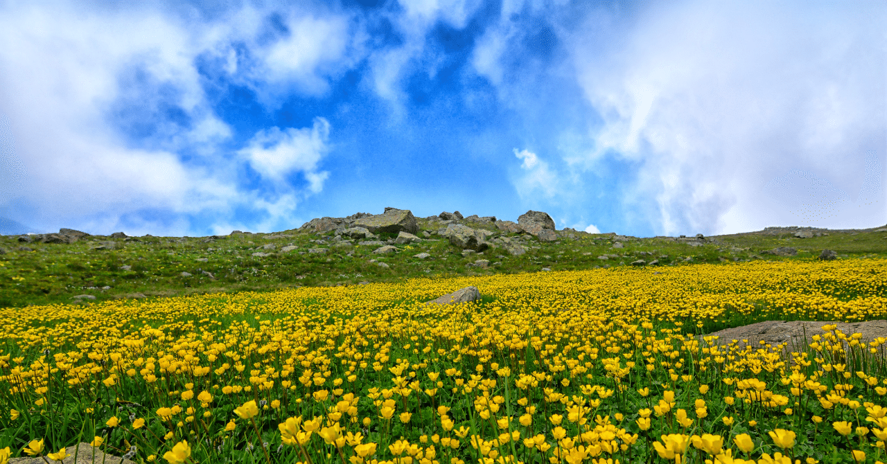 産休_妊娠35週｜sachi｜note