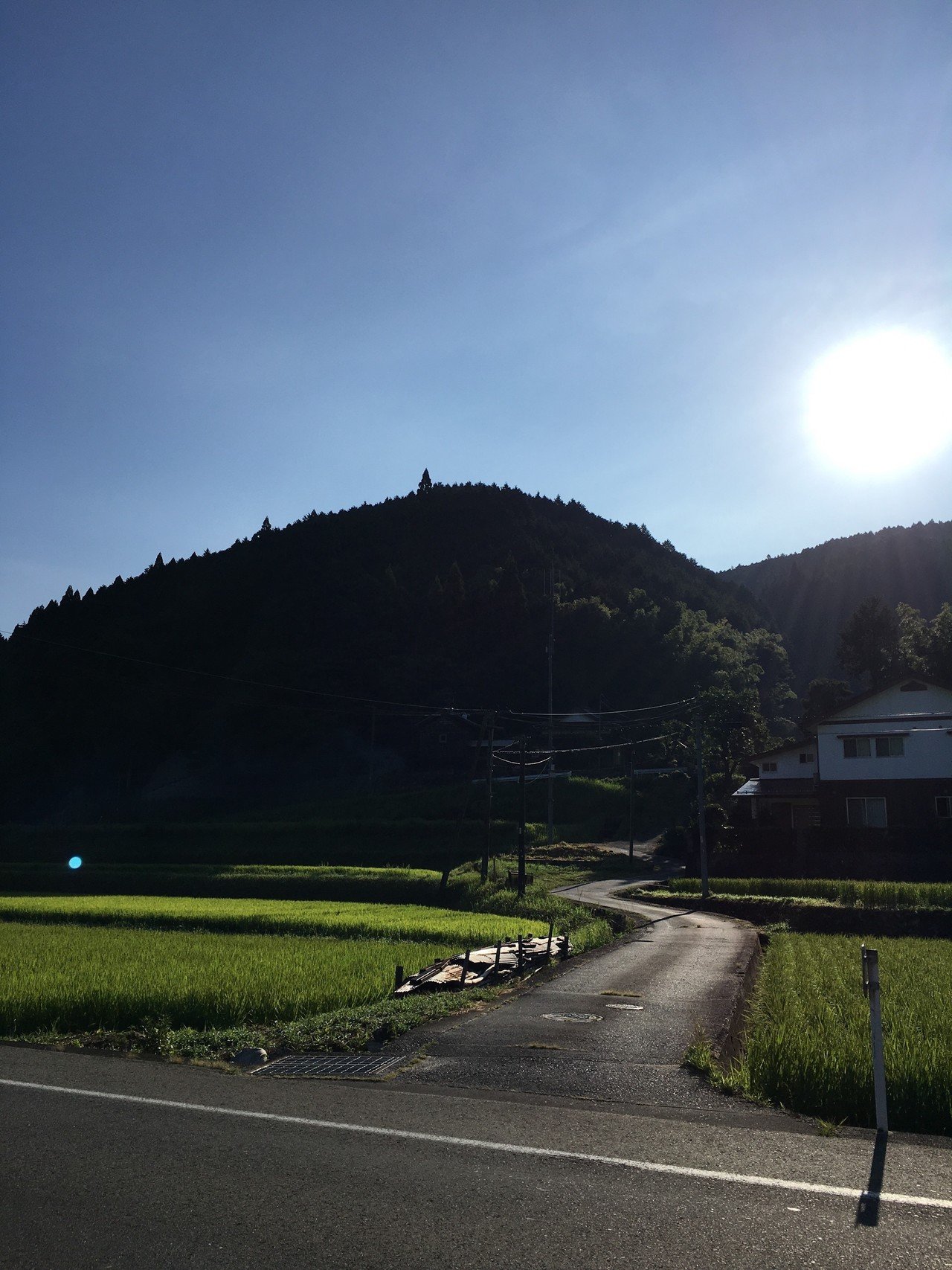 遠くへ遠くへ、 影の居所を 押しやる。 この葉とこの葉の 境界も定まらないまま。 灼かれ縮むもの、 また緑を濃くするもの。 まったく全体 キミ ...