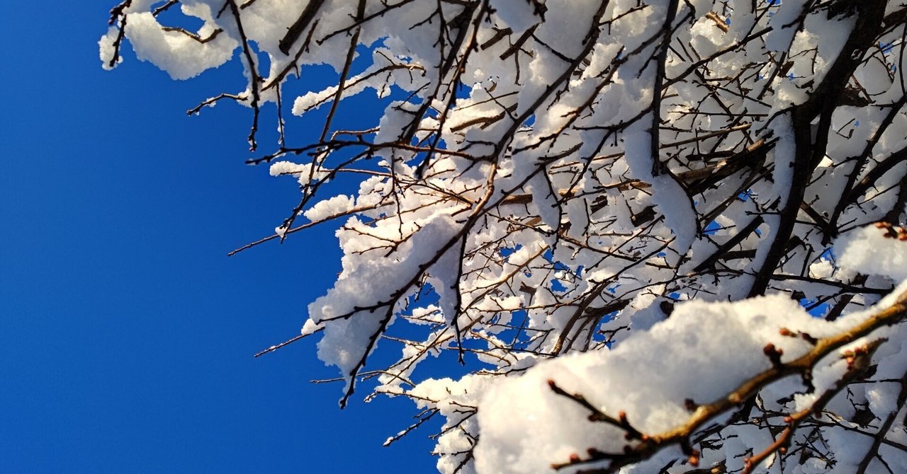 生きているんだ｜susuu