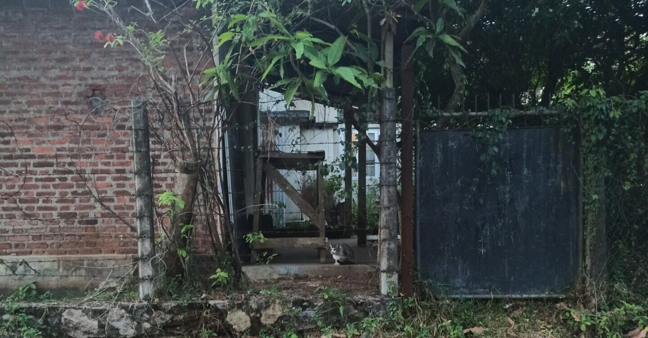 ユニークであること｜J M Chieko