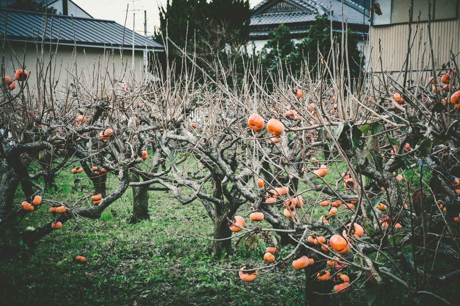 Masayuki Hirota｜note