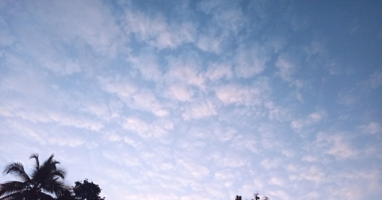 好きのこと｜J M Chieko