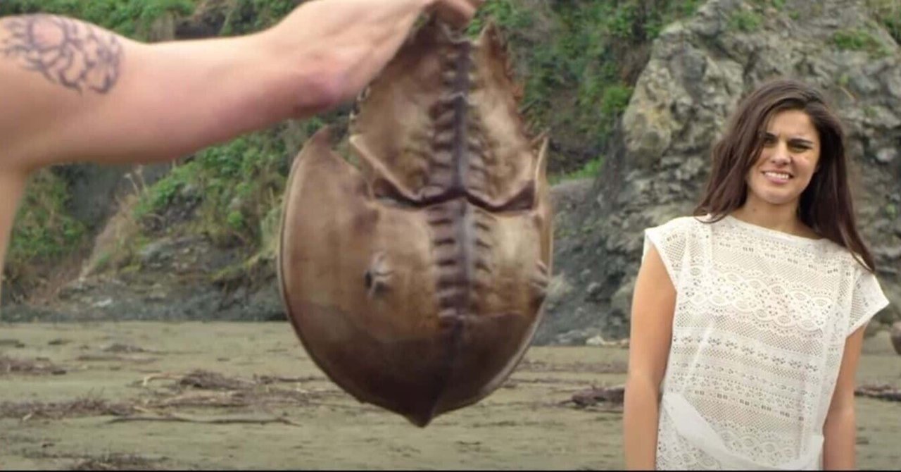 CRABS! / キラーカブトガニ（2023年1月20日劇場公開）｜eigadays｜note