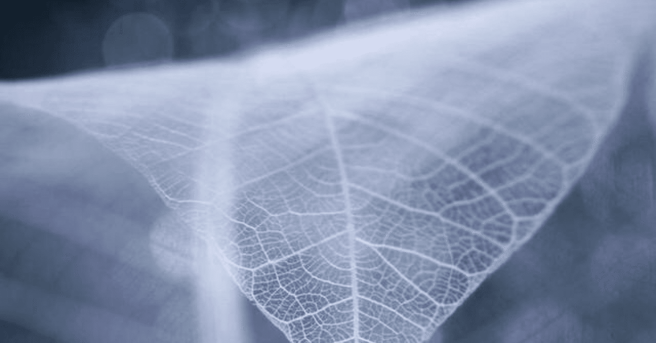 mandh／相続手続きを自分で｜note