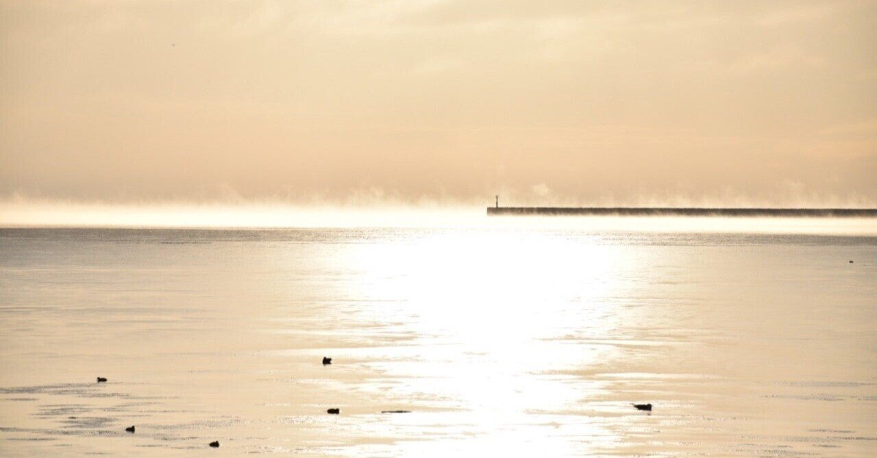 3.11｜ KAZUKO ｜note