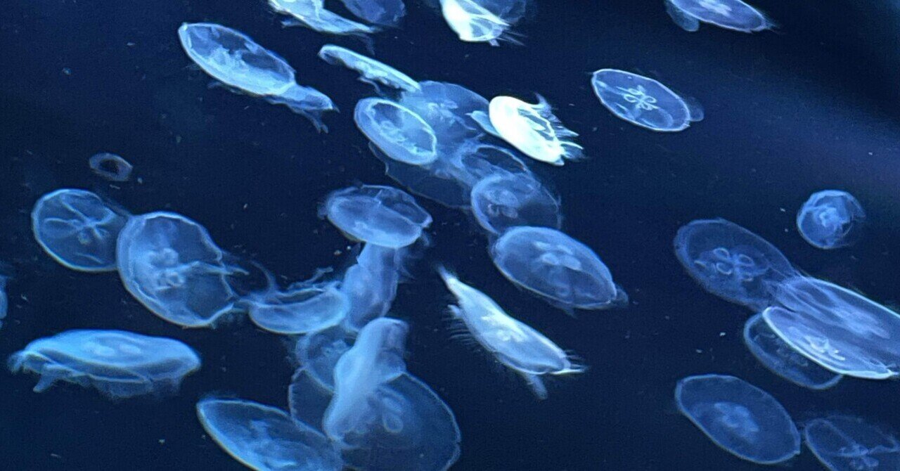 感じる｜伊礼 亮 / rairu