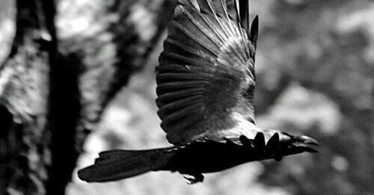 私のレノーア｜shiho｜note