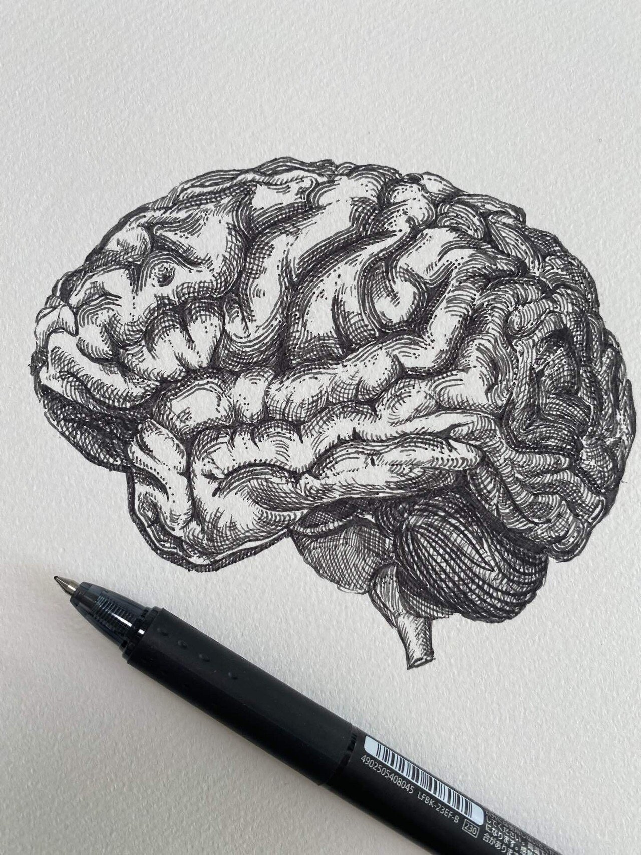 初めてのオリジナル画は 脳ミソです🧠 ボールペンは消しゴムのカスとか出ないし、いいものですね。。｜kani