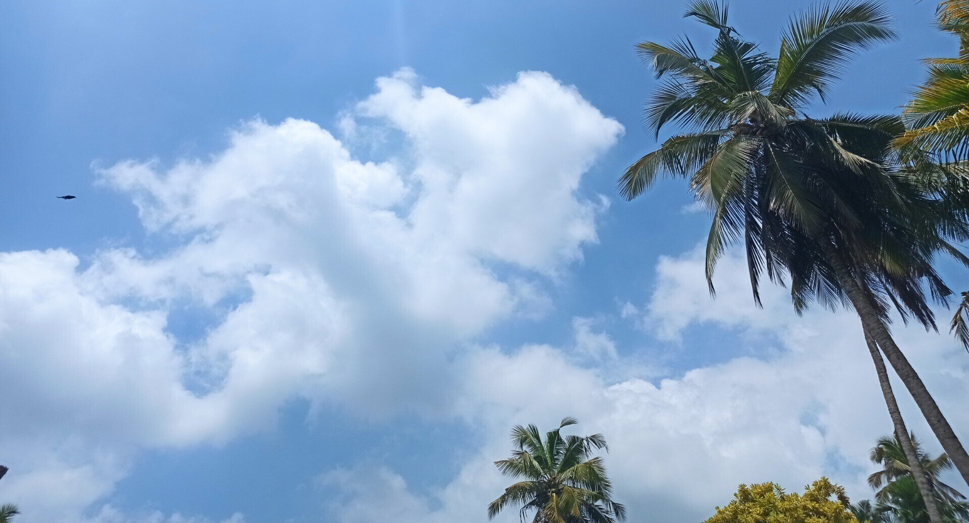 南の国から｜J M Chieko