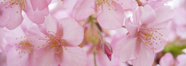 MITSUDA Tetsuo｜note