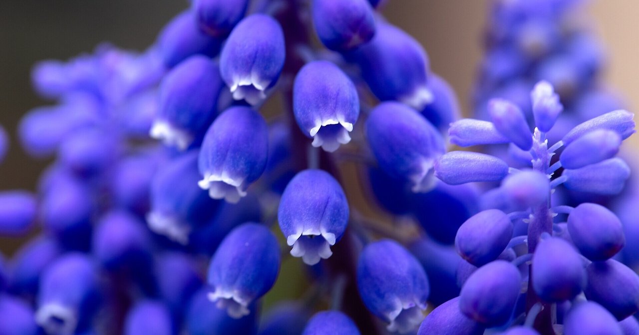 再投稿 [264] （2021/3/24）｜taku