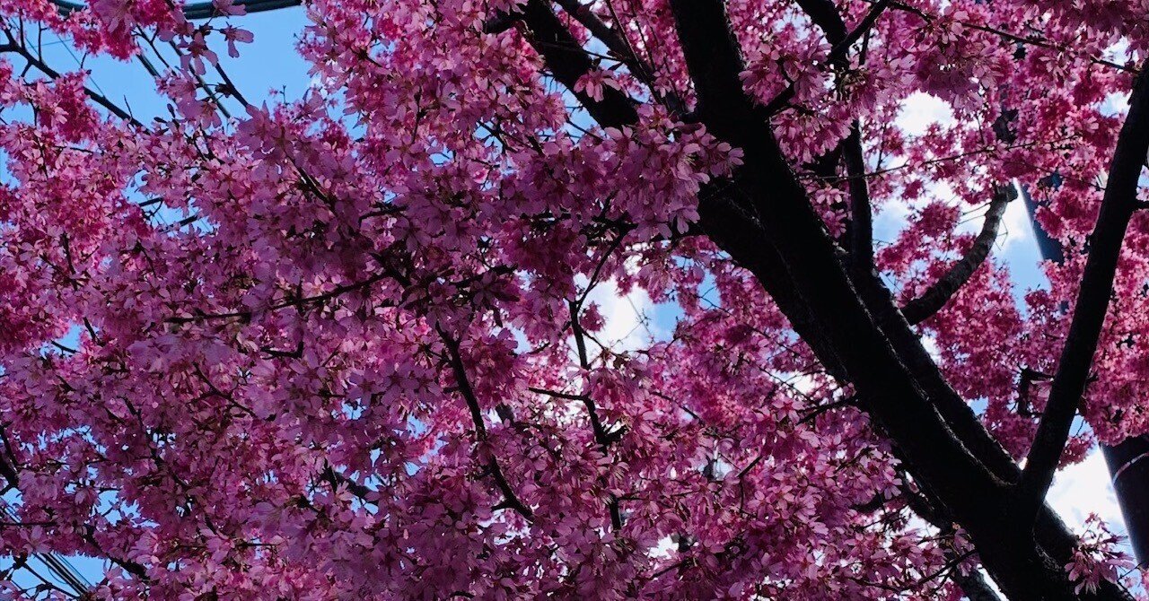 論文から見える女性医師の実態⑩｜Naoko Kato