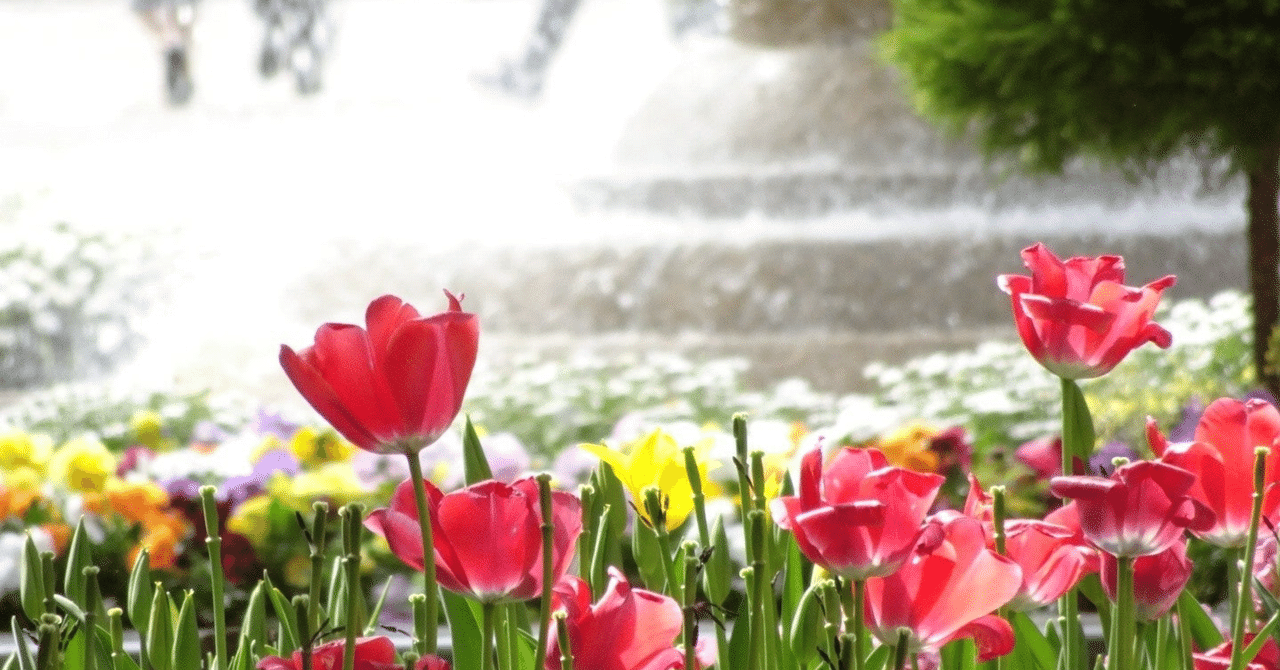 自信がないなら、まずは自分を喜ばせてあげる｜kazuko