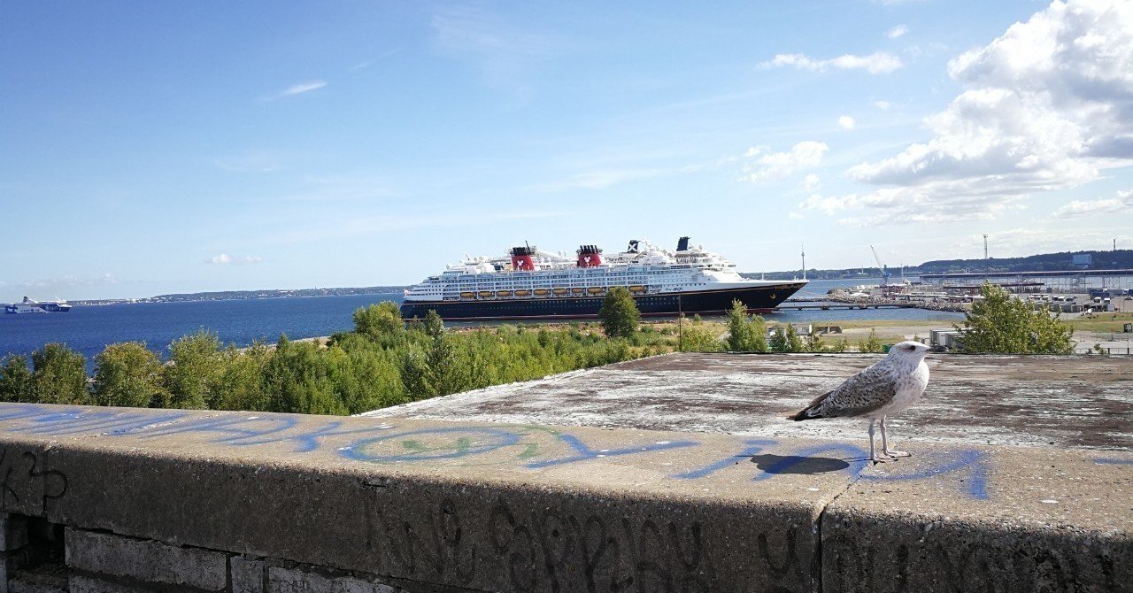 Patareisadama piiripunkt 行ってきました｜Fumio@🇪🇪｜note