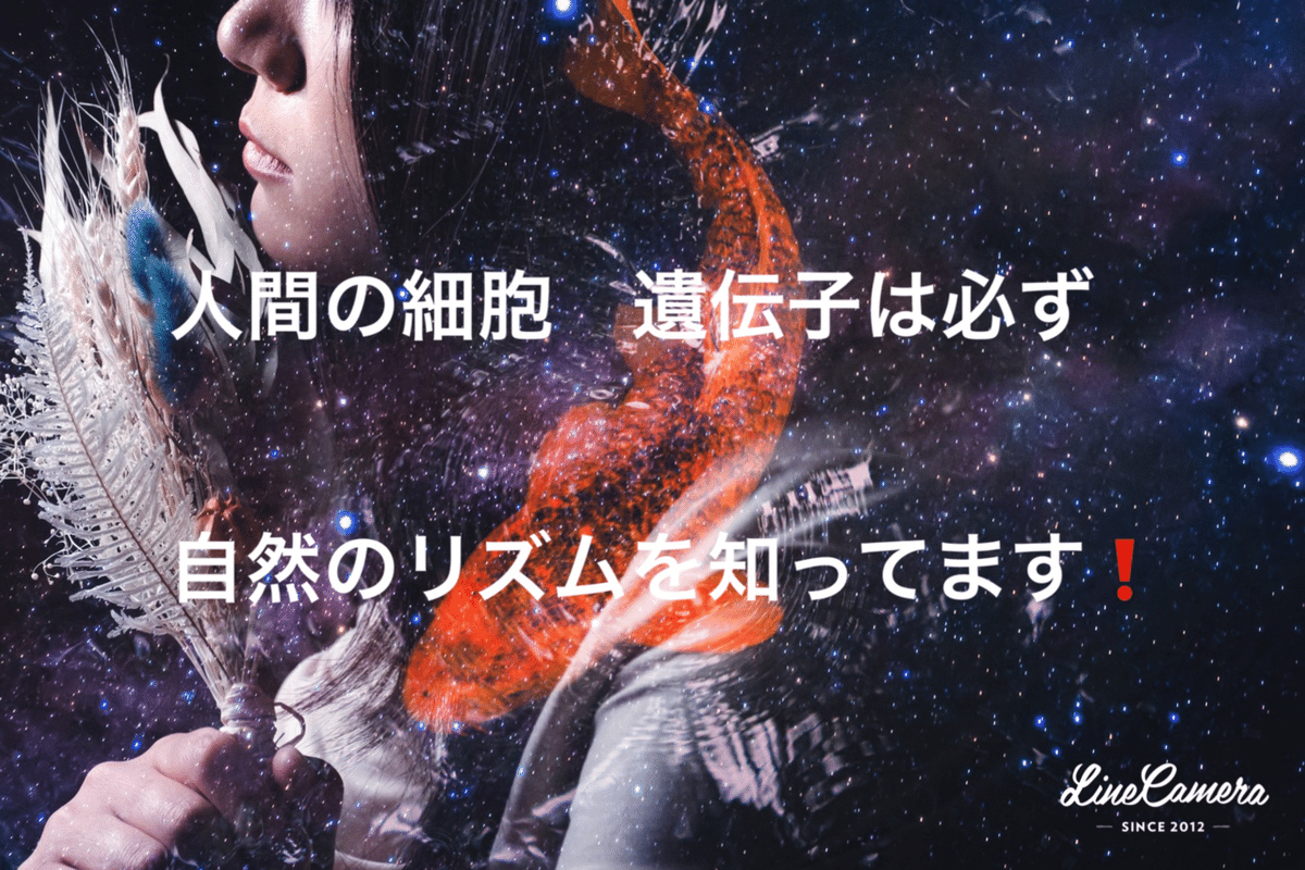 (青い嵐/黄色い戦士)音4今日1日流れるエネルギー｜megubon