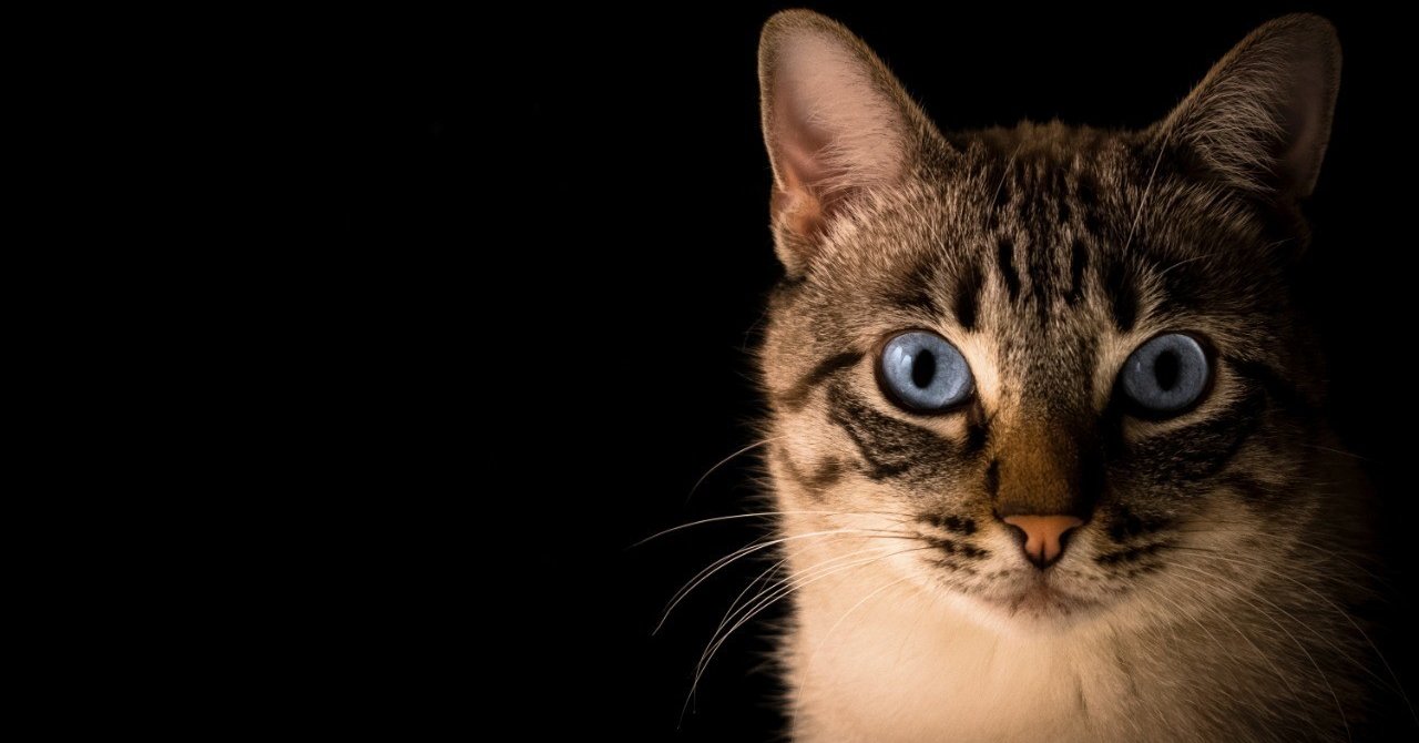 他人の目｜Keiko Usami