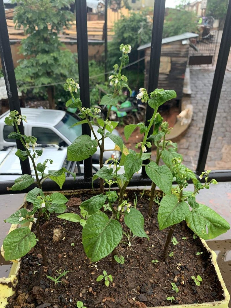 元同僚の家での料理体験_188日目／730日｜tsara_andro