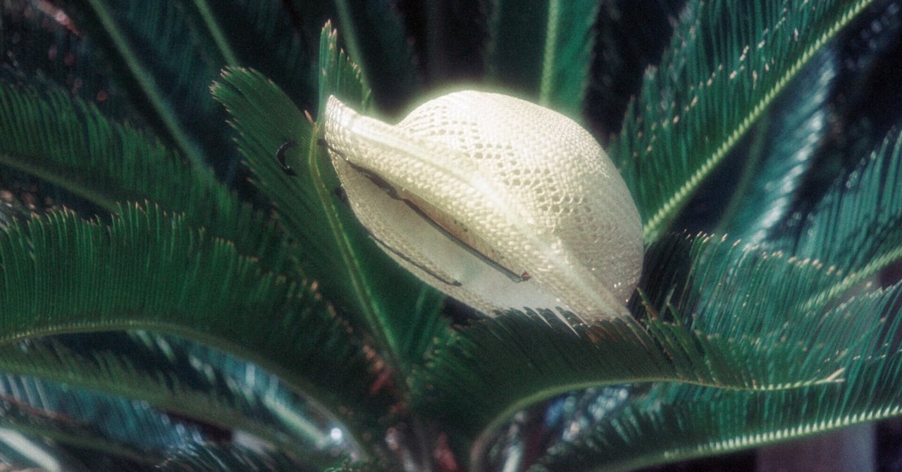 麦わら帽子｜38gi.ryu