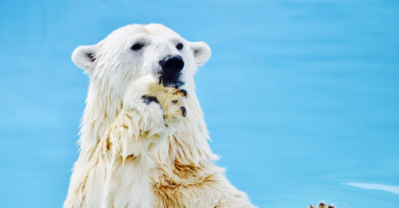 負の感情から自分を守ってあげること！｜723nk