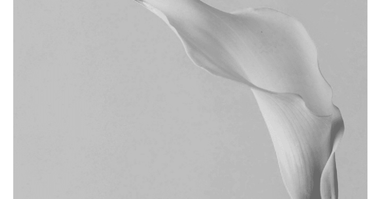 一行詩「どんなに｜cofumi（こふみ）|詩🖋作詞🎵｜note