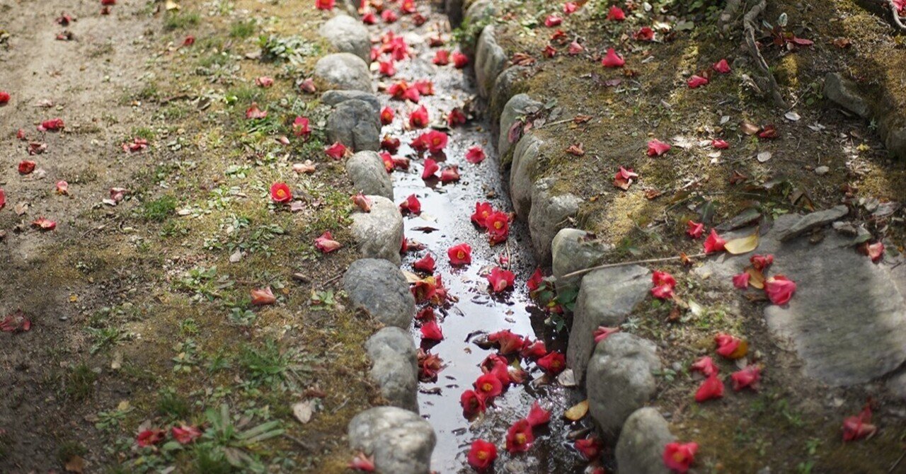 祖母の黒い服 #1｜古川節子（Furukawa Setsuko)